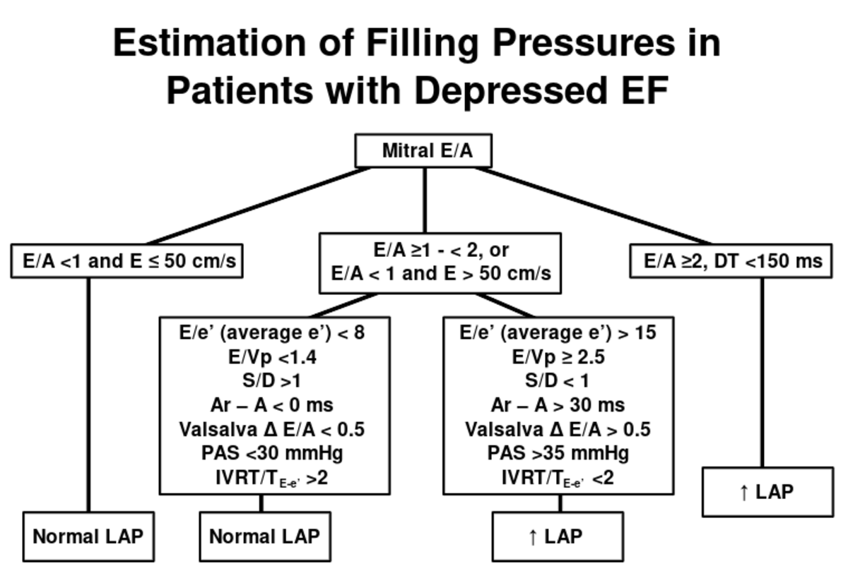 File:LAP reducedEF.svg - Echopedia